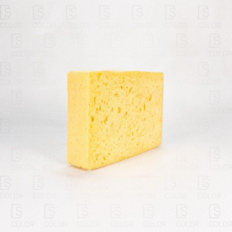 COLAD ESPONJAS 1 unidad